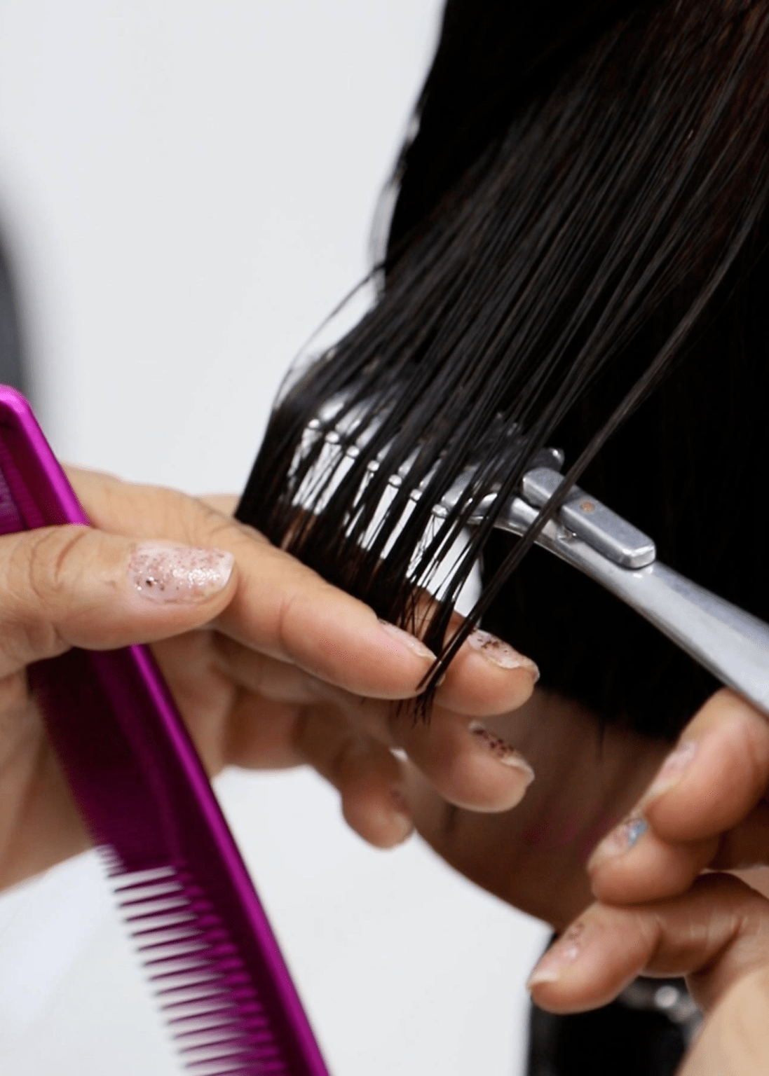 programa corte - Dclass